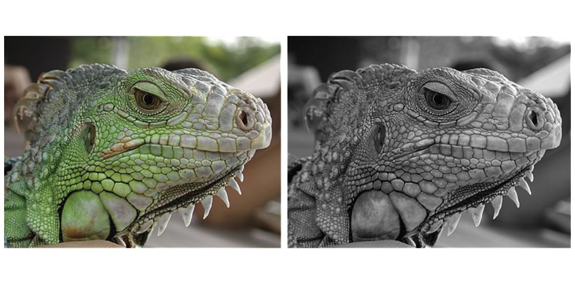 Maîtriser le passage de la couleur au noir&blanc avec jean-yves remy - Les